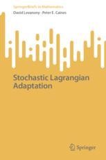 Stochastic Lagrangian Adaptation | SpringerLink