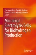 Microbial Electrolysis Cells for Biohydrogen Production | Springer Nature Link (formerly ...