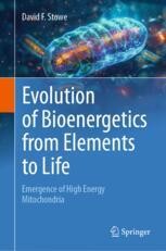 Evolution of Bioenergetics from Elements to Life: Emergence of High ...