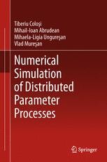 Numerical Simulation of Distributed Parameter Processes | SpringerLink