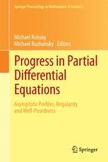 Progress in Partial Differential Equations: Asymptotic Profiles, Regularity and Well-Posedness ...