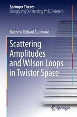 Scattering Amplitudes and Wilson Loops in Twistor Space | Springer ...