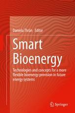 Smart Bioenergy: Technologies and concepts for a more flexible ...