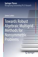 Towards Robust Algebraic Multigrid Methods for Nonsymmetric Problems | SpringerLink