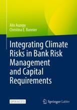 Integrating Climate Risks in Bank Risk Management and Capital Requirements | Springer Nature ...
