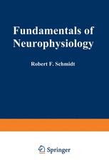 Fundamentals of Neurophysiology | SpringerLink