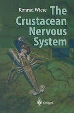 The Crustacean Nervous System | Springer Nature Link