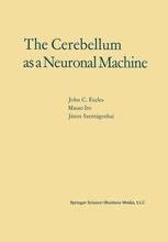 The Cerebellum as a Neuronal Machine | Springer Nature Link (formerly ...
