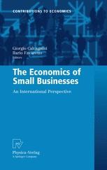 The Economics of Small Businesses: An International Perspective ...