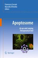 Apoptosome: An up-and-coming therapeutical tool | SpringerLink