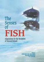 The Senses of Fish: Adaptations for the Reception of Natural Stimuli ...