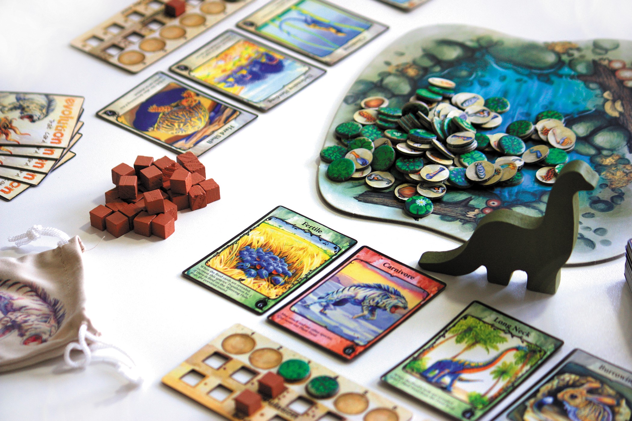 Education: How to win at evolution | Nature
