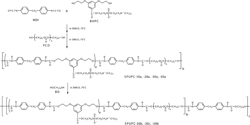 Syntheses of a novel diol monomer and polyurethane elastomers ...