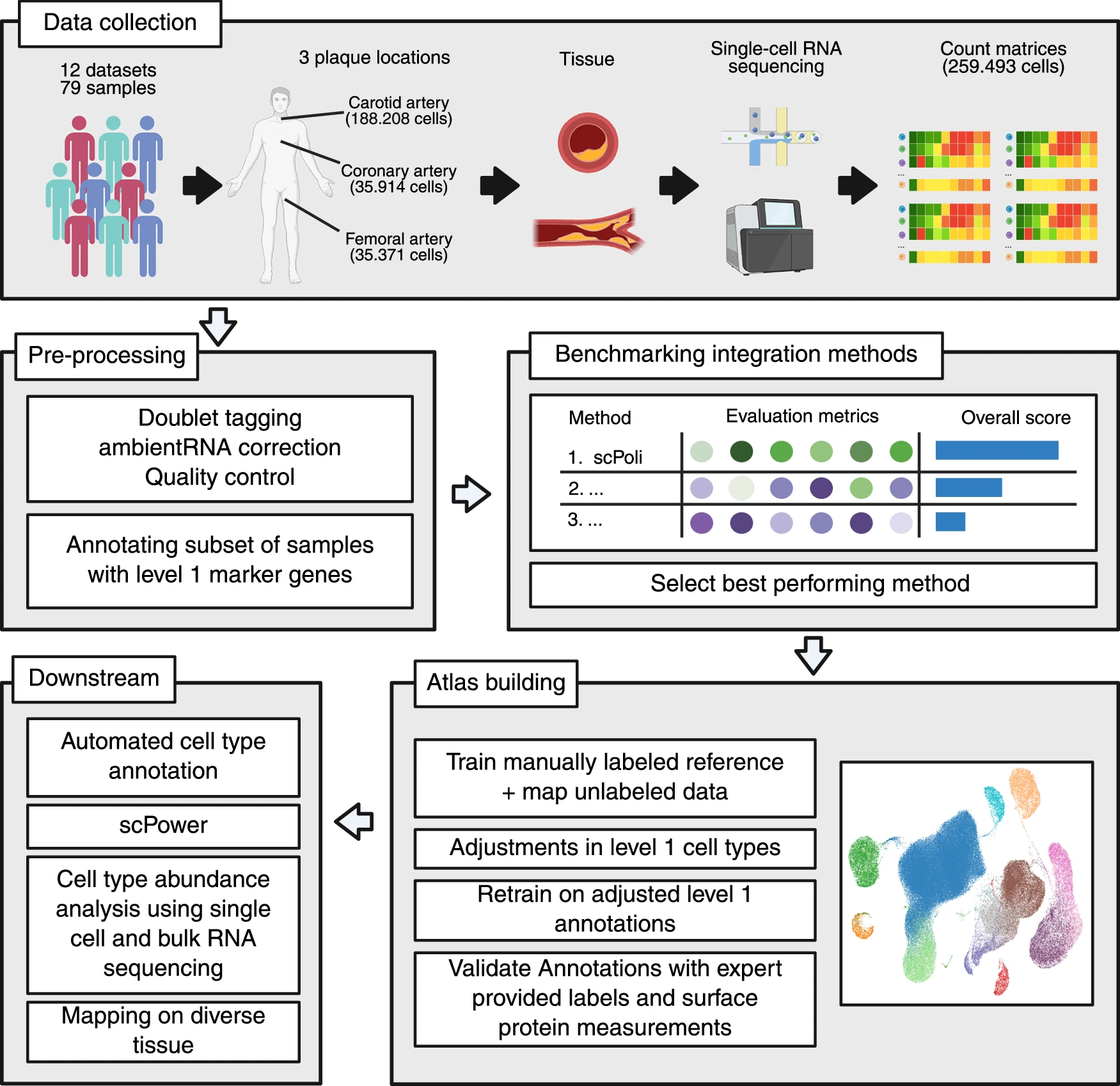 Integrated single-cell atlas of human atherosclerotic plaques | RNA-Seq ...