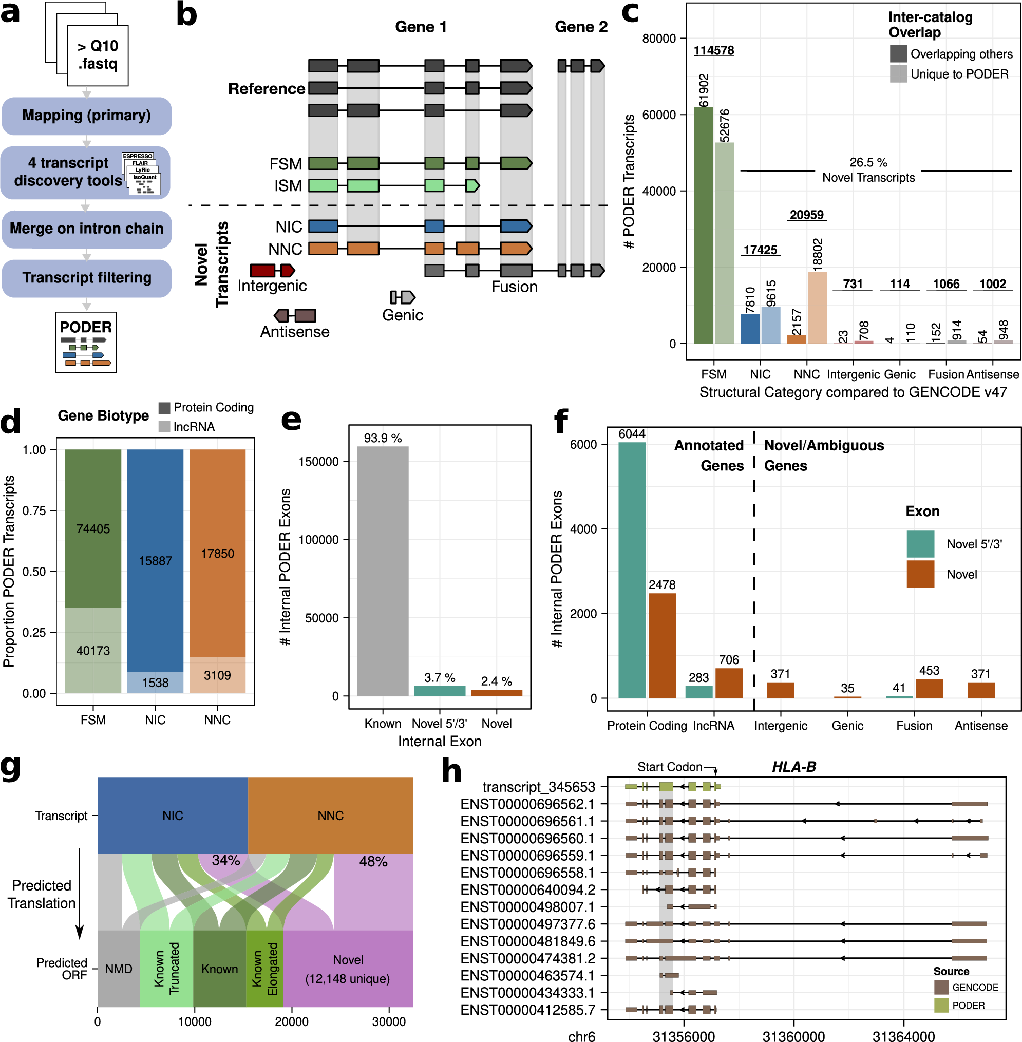Human gene maps are biased towards European ancestries | RNA-Seq Blog