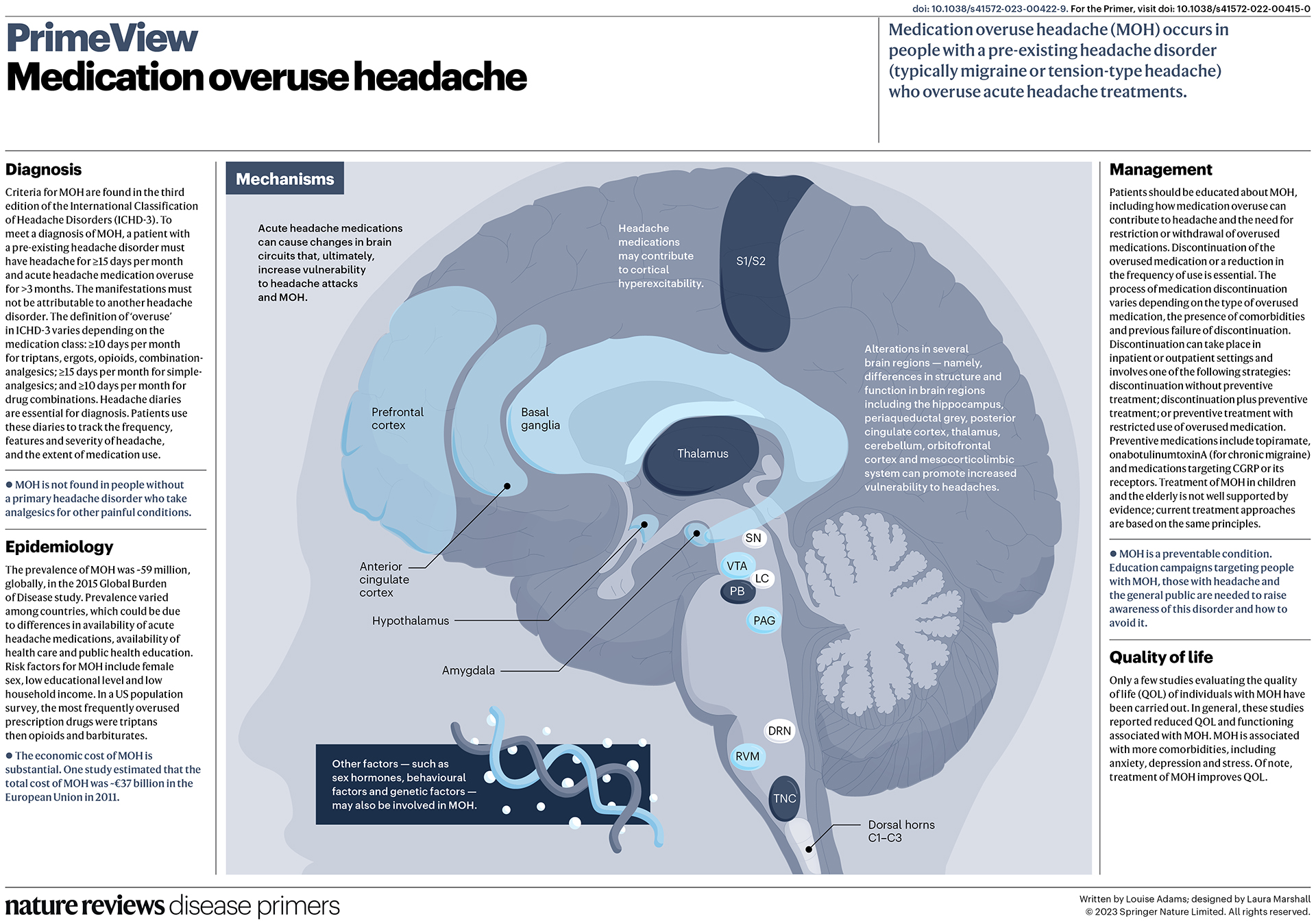 Medication overuse headache | Nature Reviews Disease Primers
