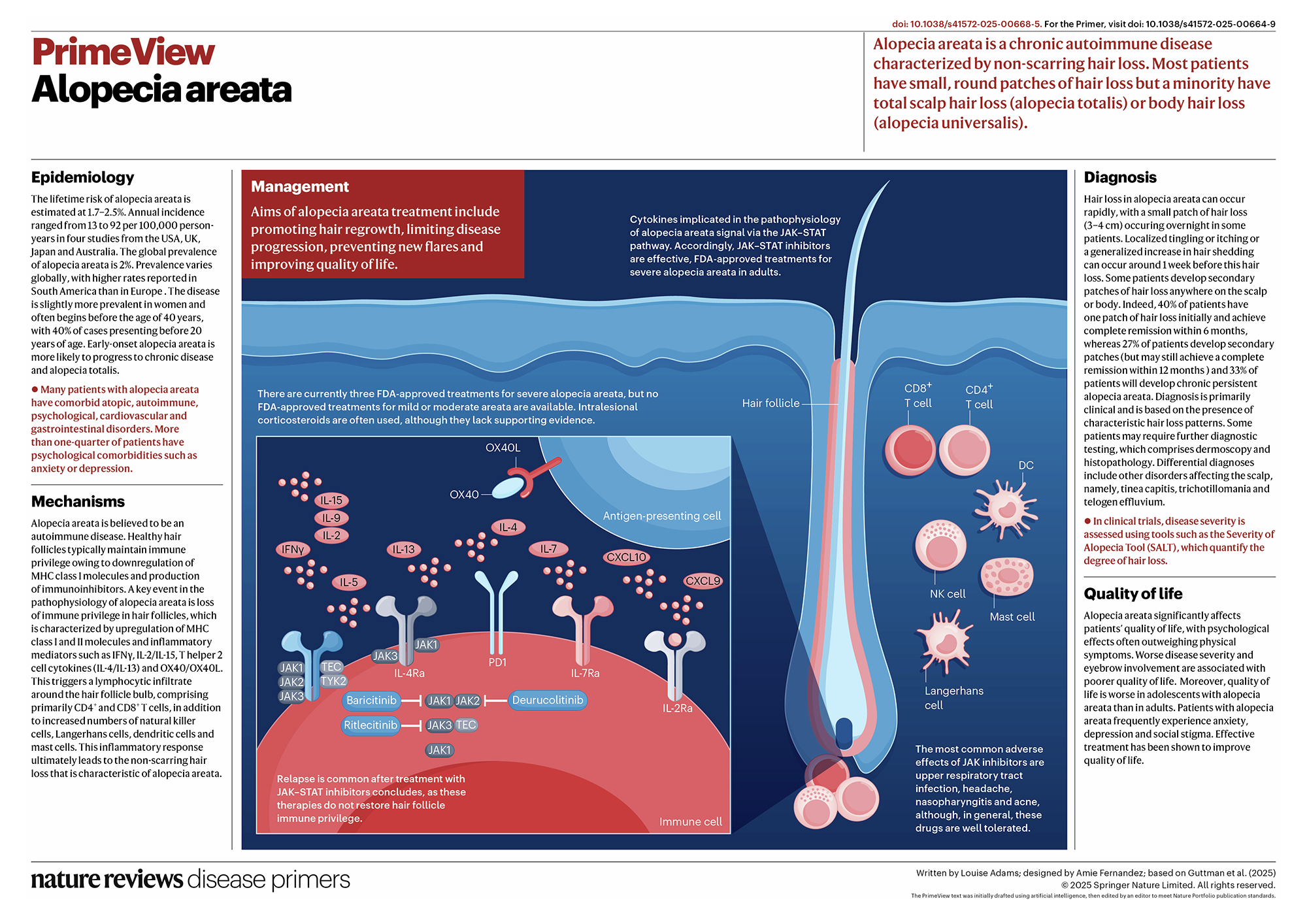 Alopecia areata | Nature Reviews Disease Primers