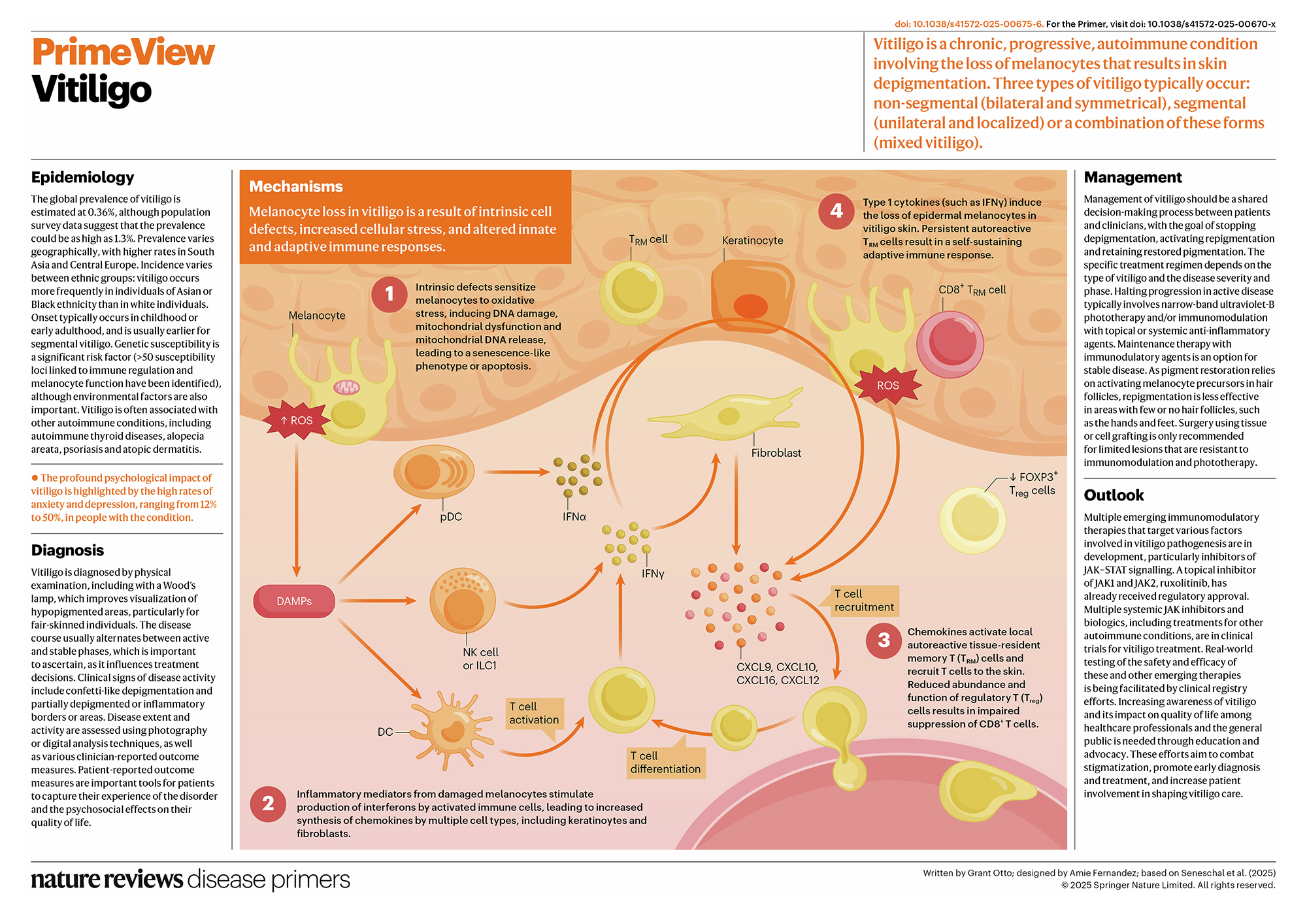 Vitiligo | Nature Reviews Disease Primers