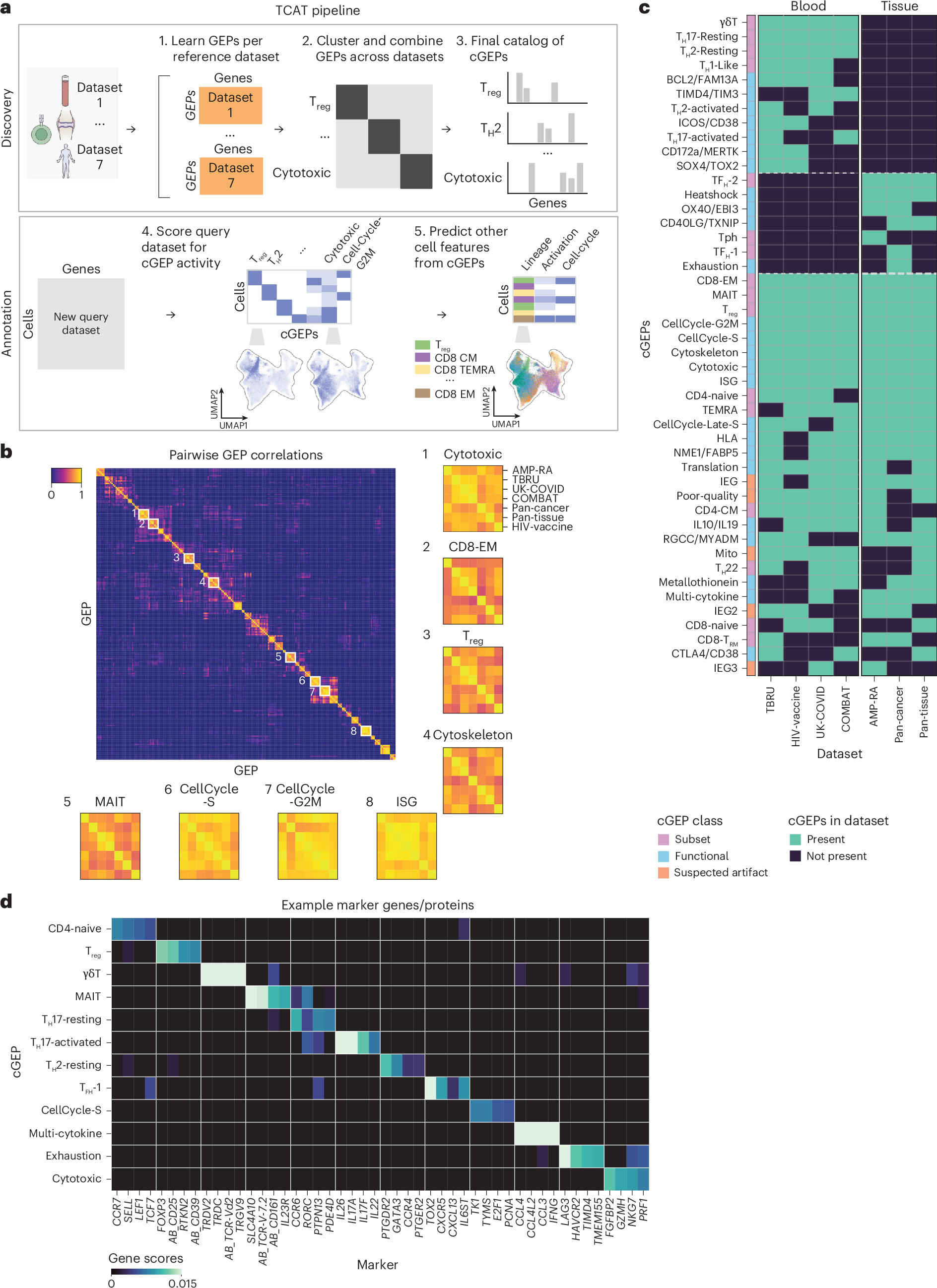 T-CellAnnoTator – reproducible single-cell annotation of programs underlying T cell subsets ...
