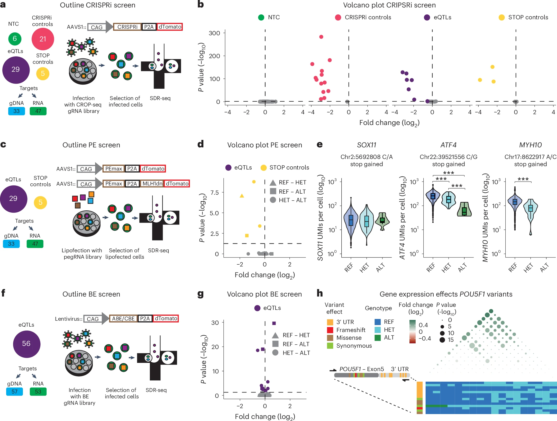Multiomic single-cell DNA–RNA sequencing – functional phenotyping of ...