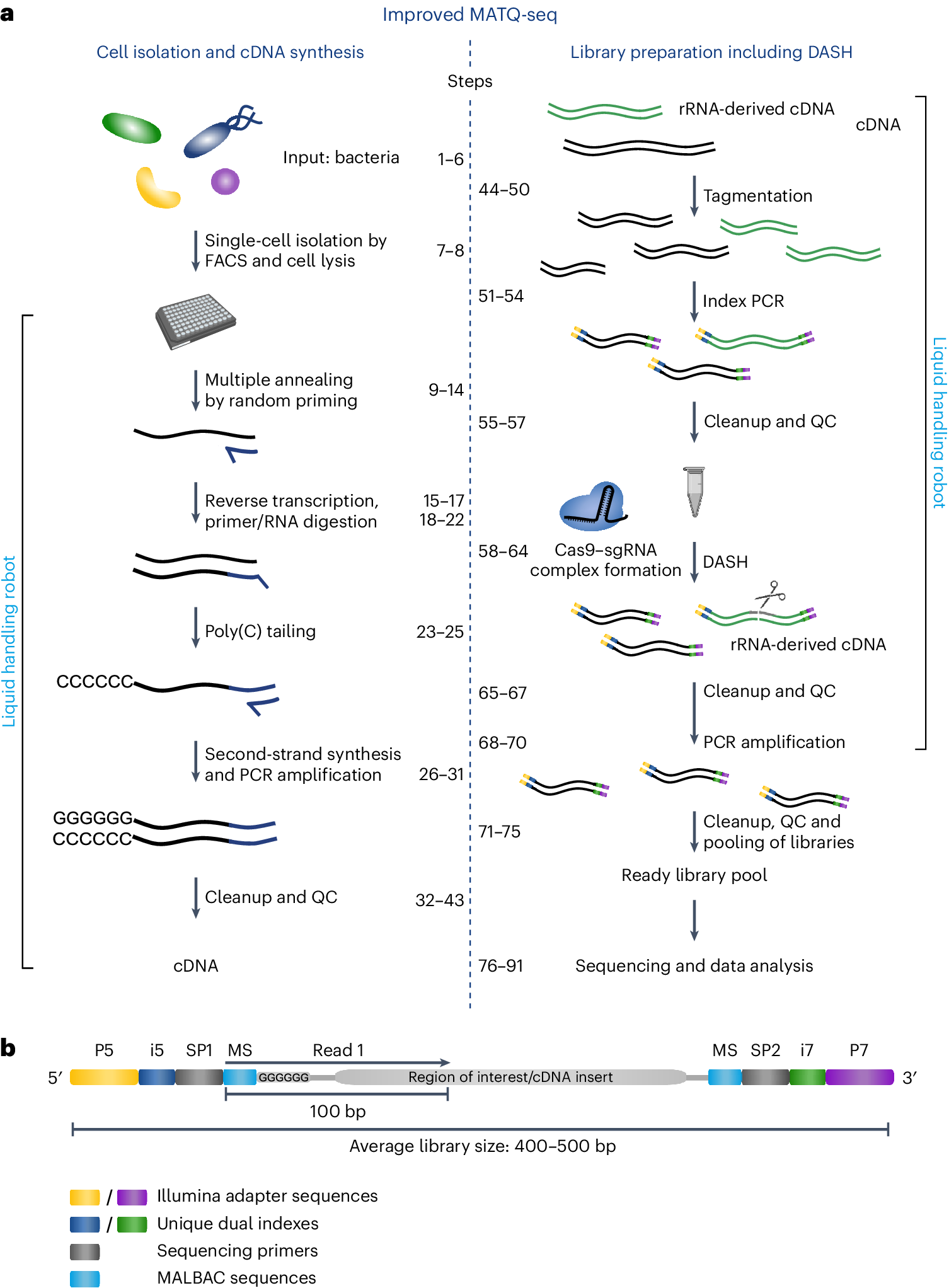 Bacteria: recording gene activity more efficiently | RNA-Seq Blog