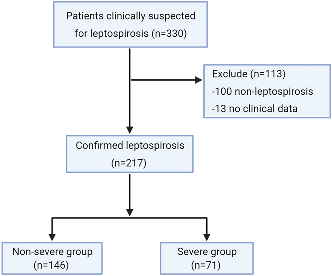 Chain Of Infection Of Leptospirosis