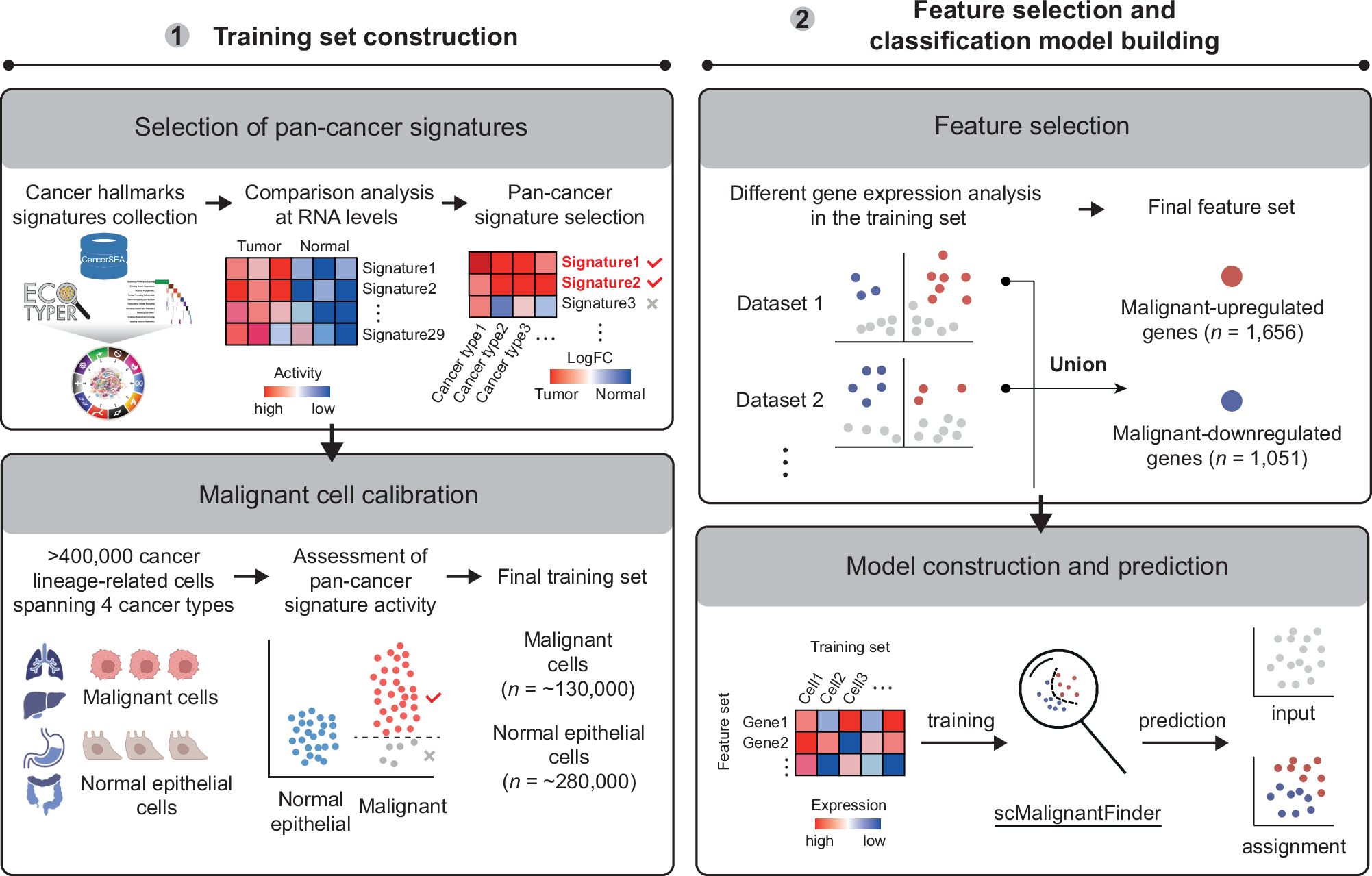 New machine learning tool enhances cancer detection in single-cell RNA ...