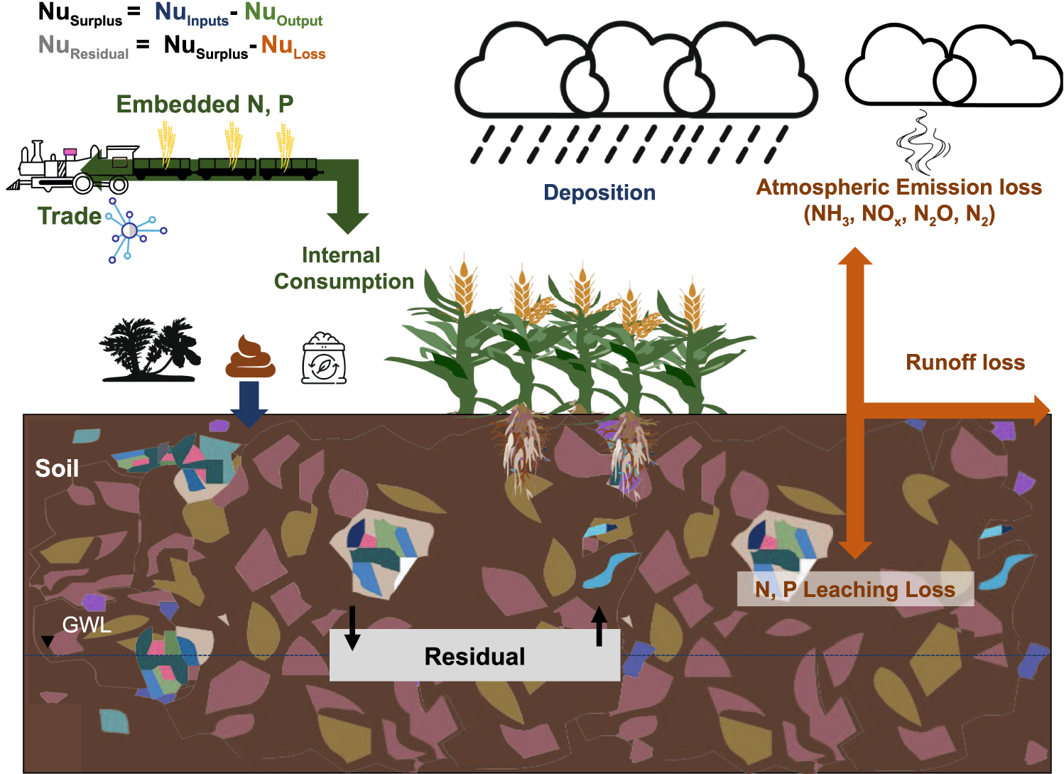 What Is Nutrient Pollution