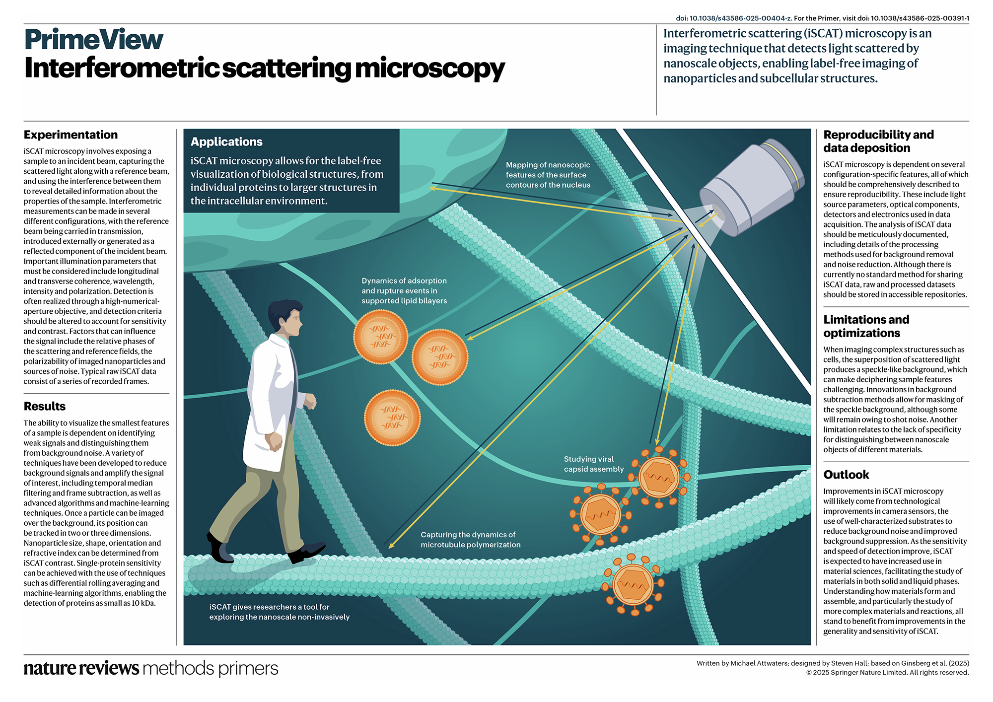 Interferometric scattering microscopy | Nature Reviews Methods Primers