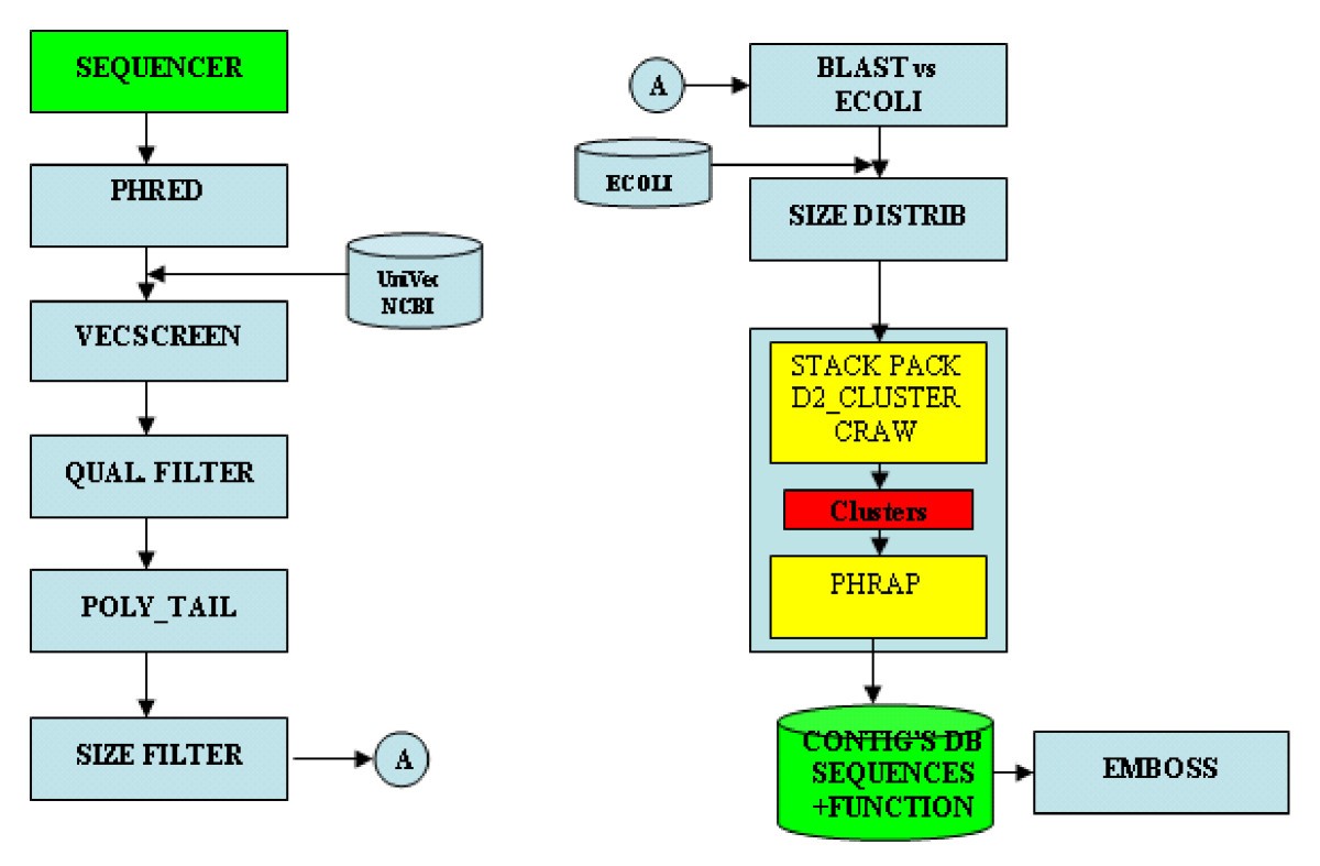 Workflows in bioinformatics: meta-analysis and prototype implementation ...