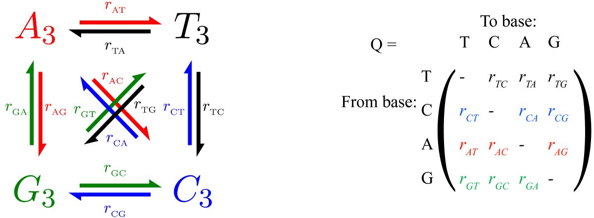 Using The Nucleotide Substitution Rate Matrix To Detect Horizontal Gene