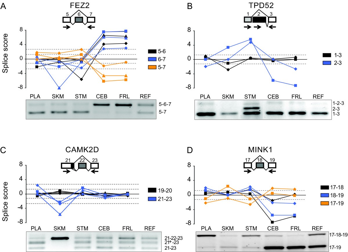 A molecular inversion probe assay for detecting alternative splicing ...
