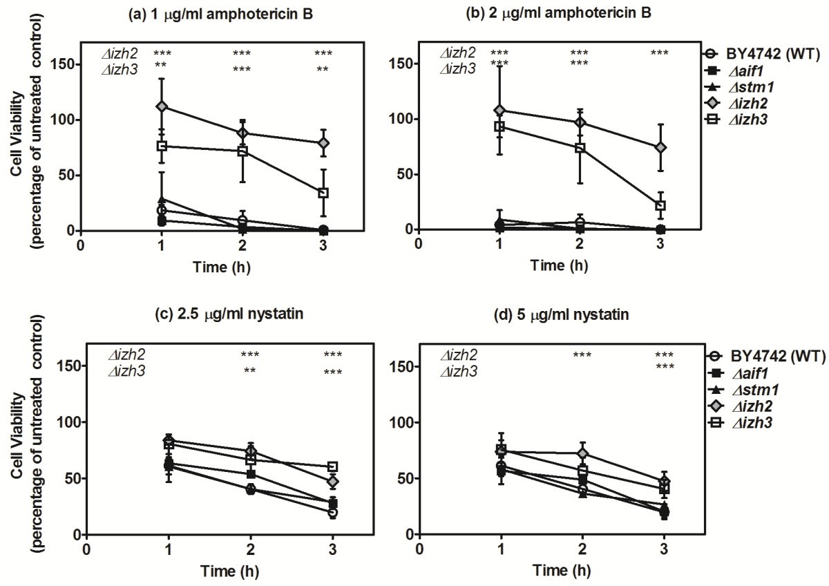 The polyene antifungals, amphotericin B and nystatin, cause cell death ...