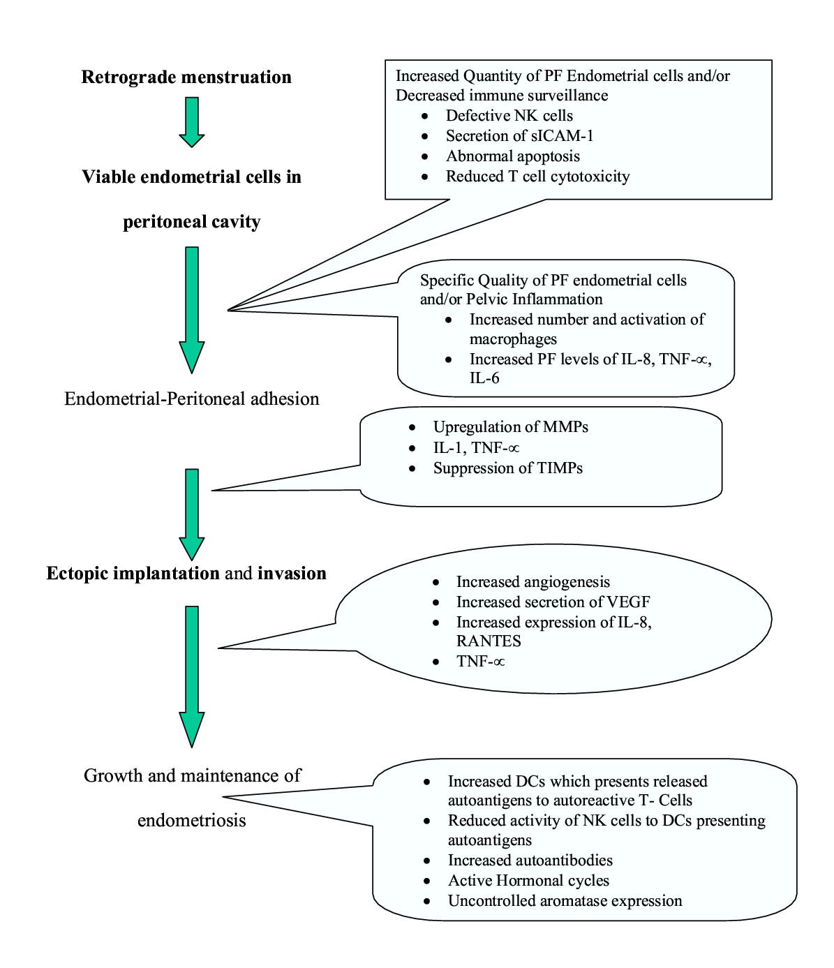 Potential involvement of the immune system in the development of ...