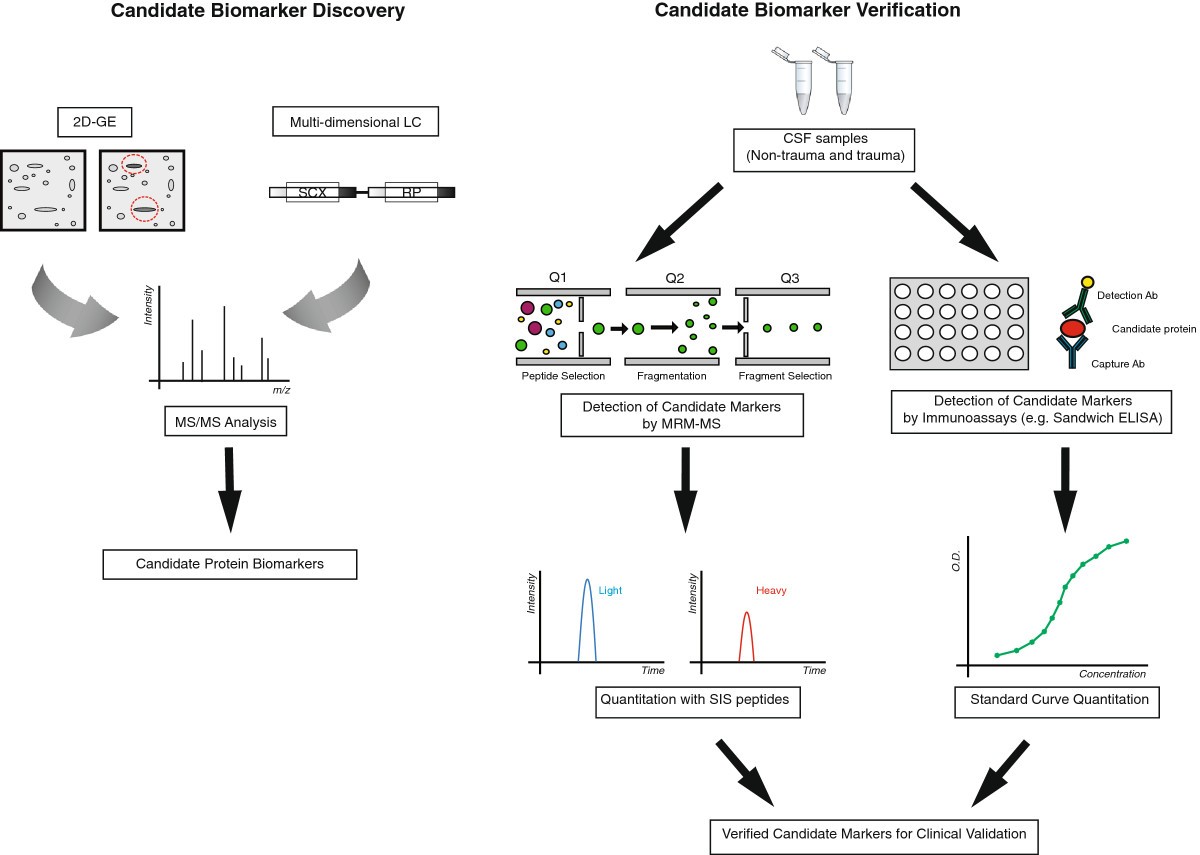 Addressing the needs of traumatic brain injury with clinical proteomics ...