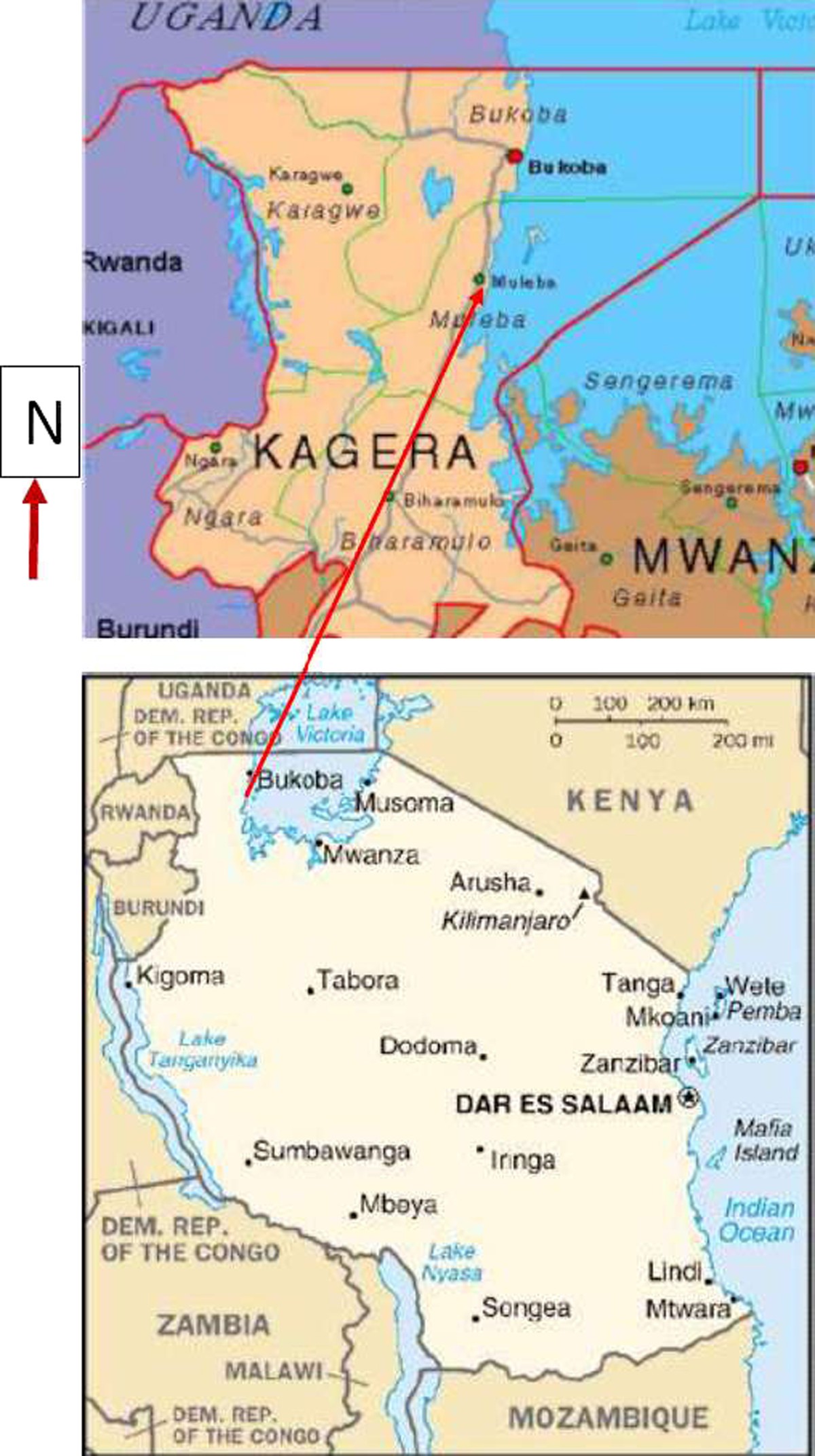 Ethnomedicine of the Kagera Region, north western Tanzania. Part 3 ...