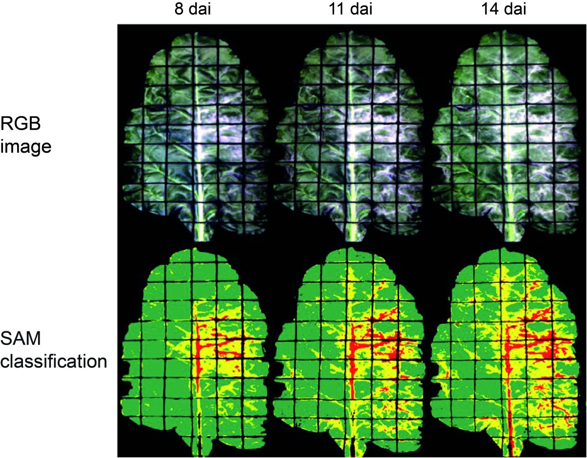 Hyperspectral imaging for small-scale analysis of symptoms caused by ...