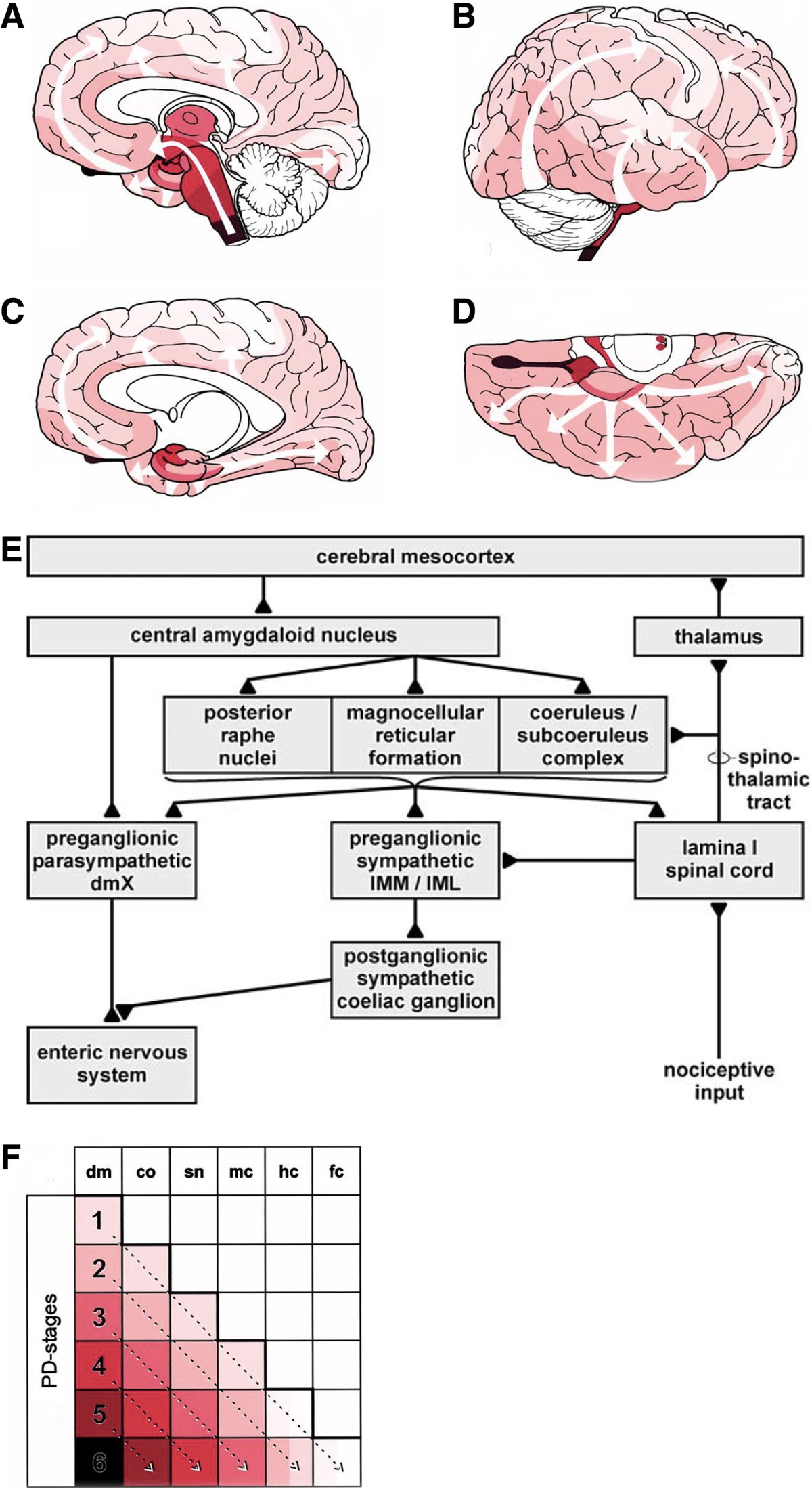 Considerations on the role of environmental toxins in idiopathic ...