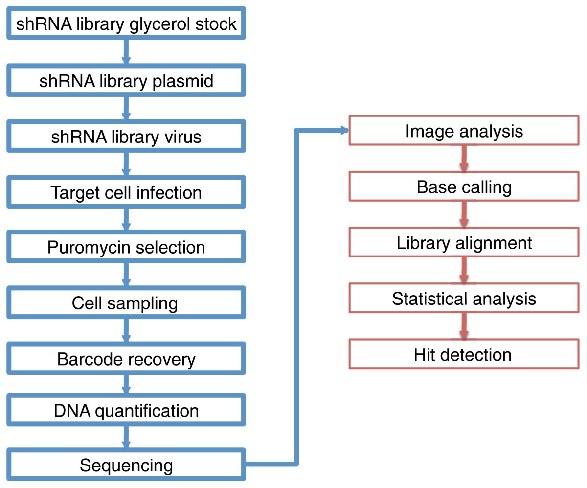High-throughput RNA interference screening using pooled shRNA libraries ...