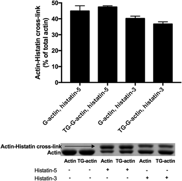 Interactions of histatin-3 and histatin-5 with actin | BMC Biochemistry ...