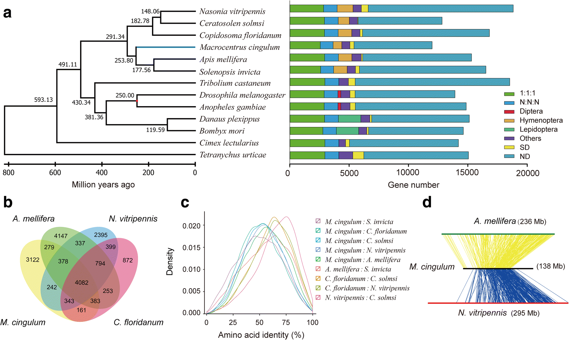 The genomic features of parasitism, Polyembryony and immune evasion in ...
