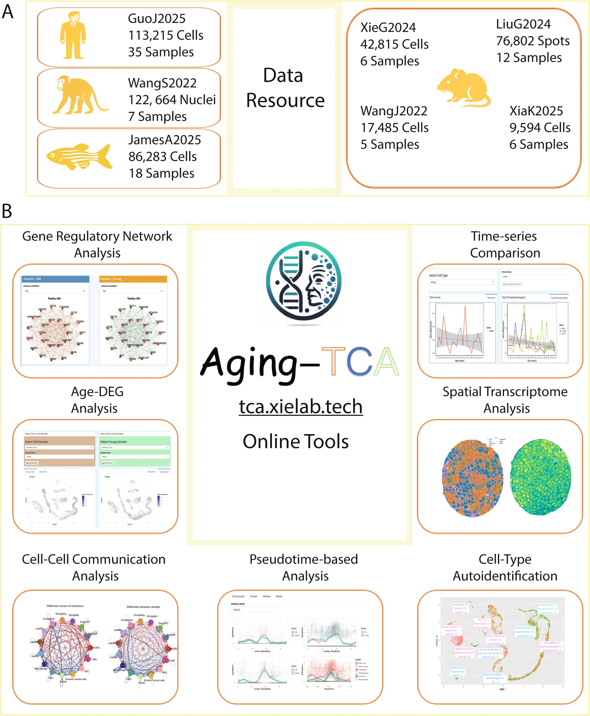Aging-TCA – a cross-species single-cell transcriptomic atlas for ...