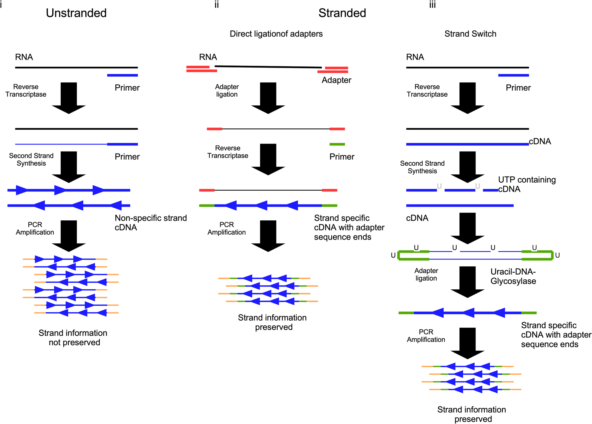 A review of technical considerations for planning an RNA-Sequencing ...