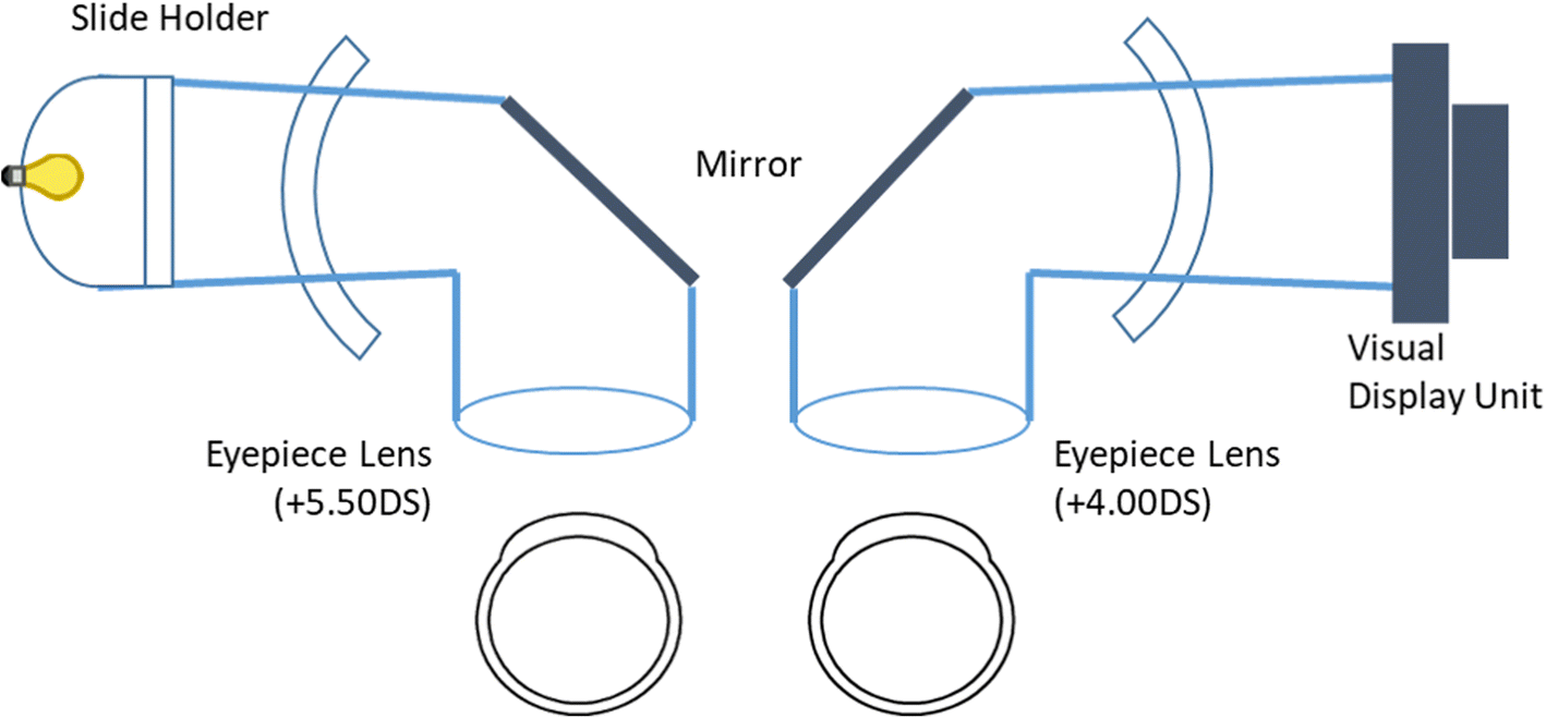 The effect of induced fusional demand on static and dynamic ...