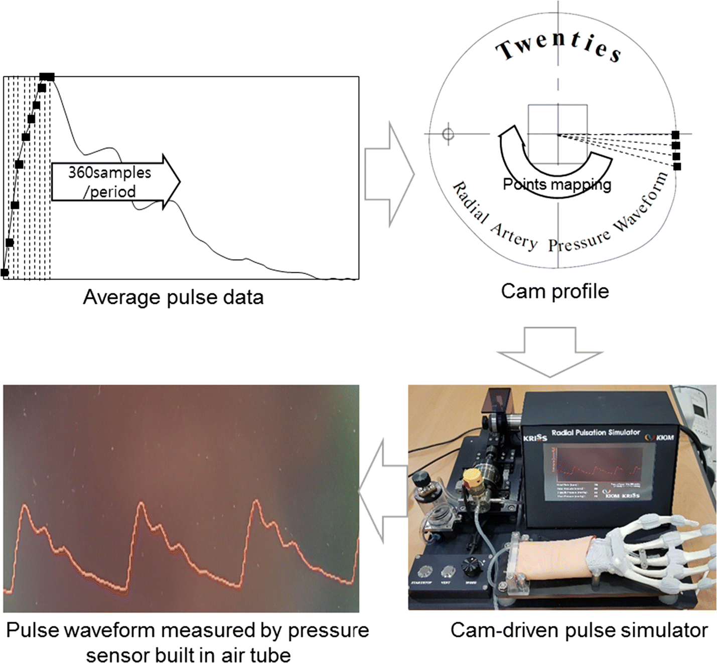Pulse wave response characteristics for thickness and hardness of the ...