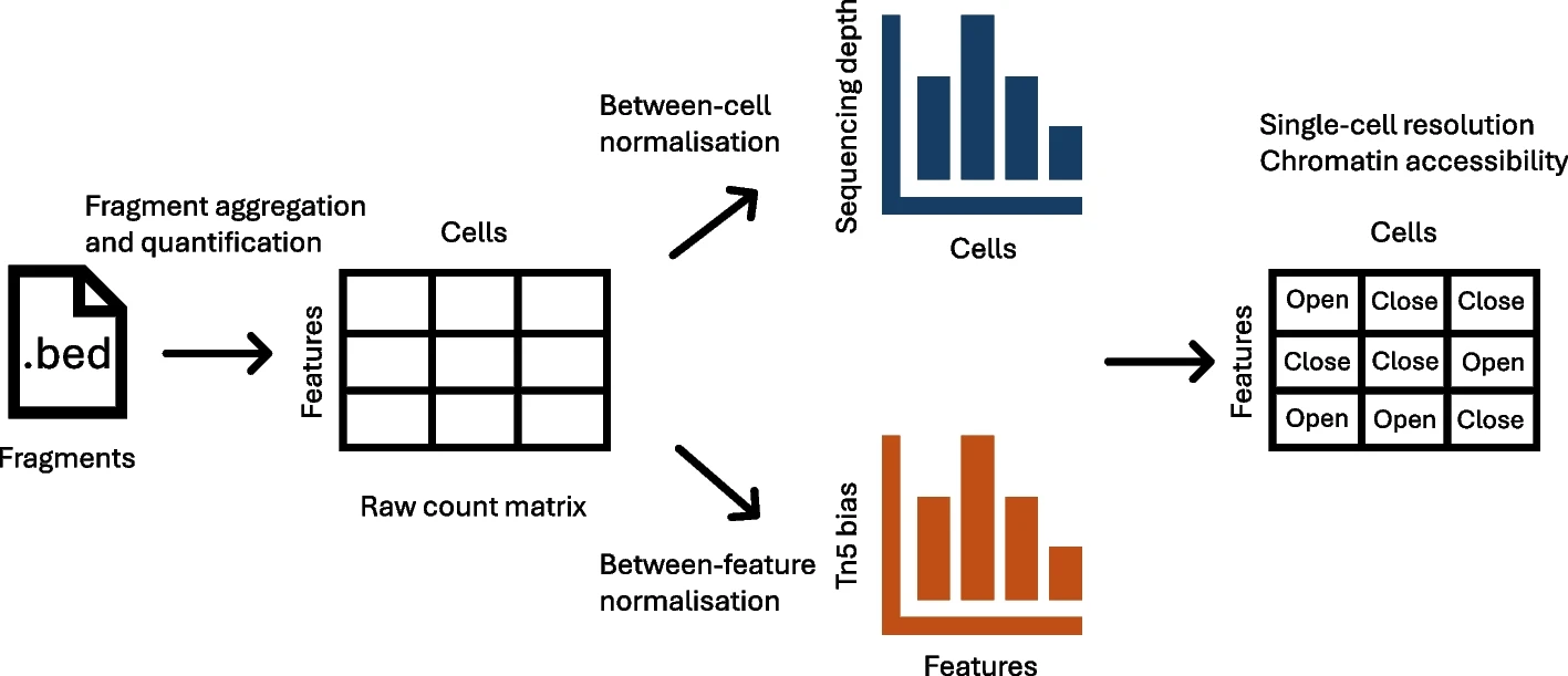 Uncovering the limits of single-cell chromatin studies | RNA-Seq Blog