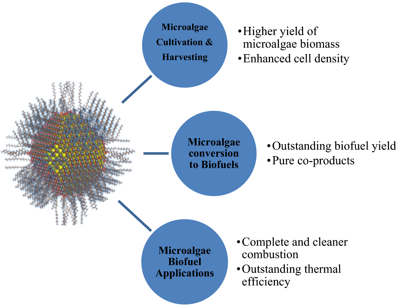 Latest development in microalgae-biofuel production with nano-additives ...