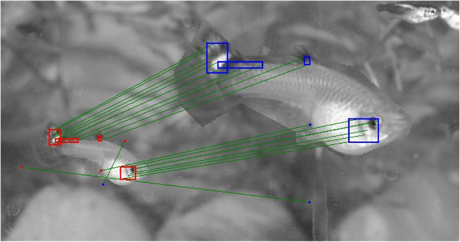 Copy-move forgery detection for image forensics using the superpixel segmentation and the ...