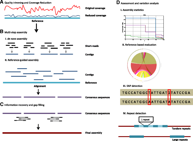 VirAmp: a galaxy-based viral genome assembly pipeline | GigaScience ...