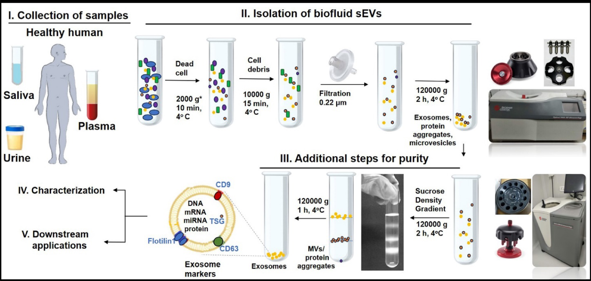 A streamlined method for isolating and characterizing small ...